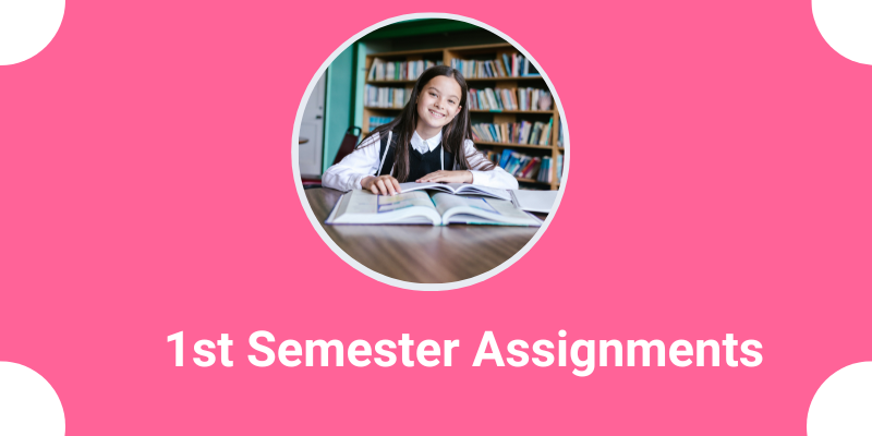 1st Semester Assignments Help | MBA Assignments